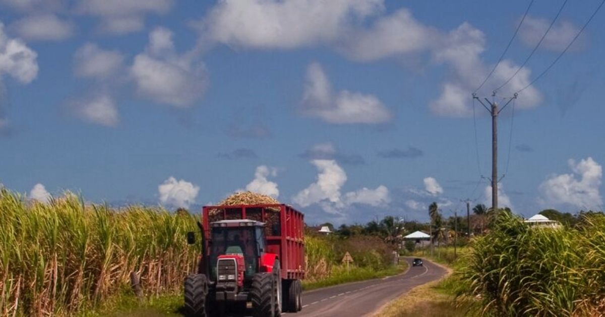Three technologies to optimise the logistics of the sugar-energy sector ...